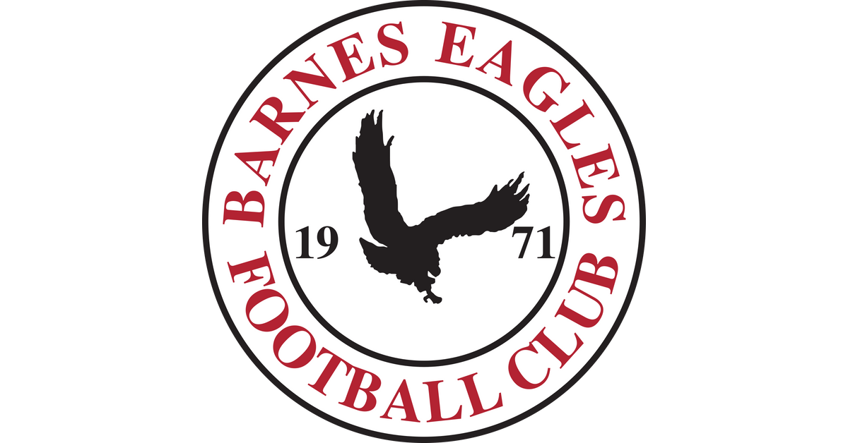 Home kit – Barnes Eagles FC
